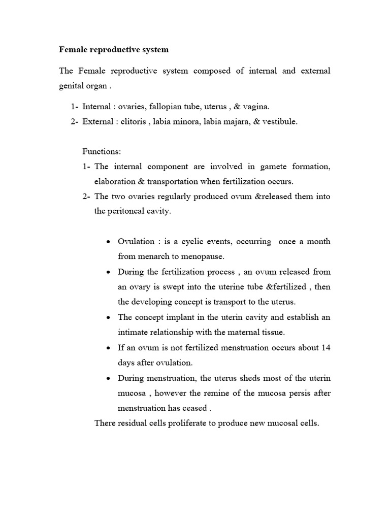 Female Reproductive System | PDF