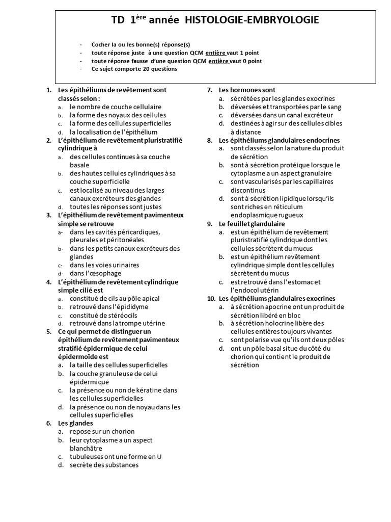 TD Histo-Embryo 5 | PDF