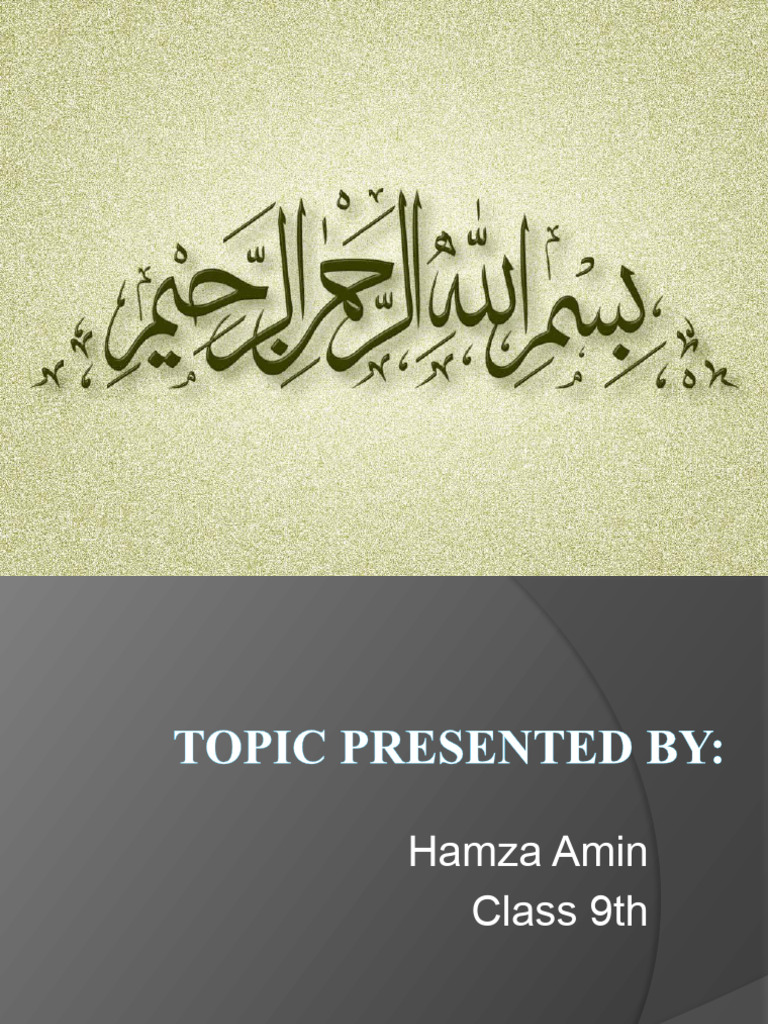 Hamza Presentation | PDF