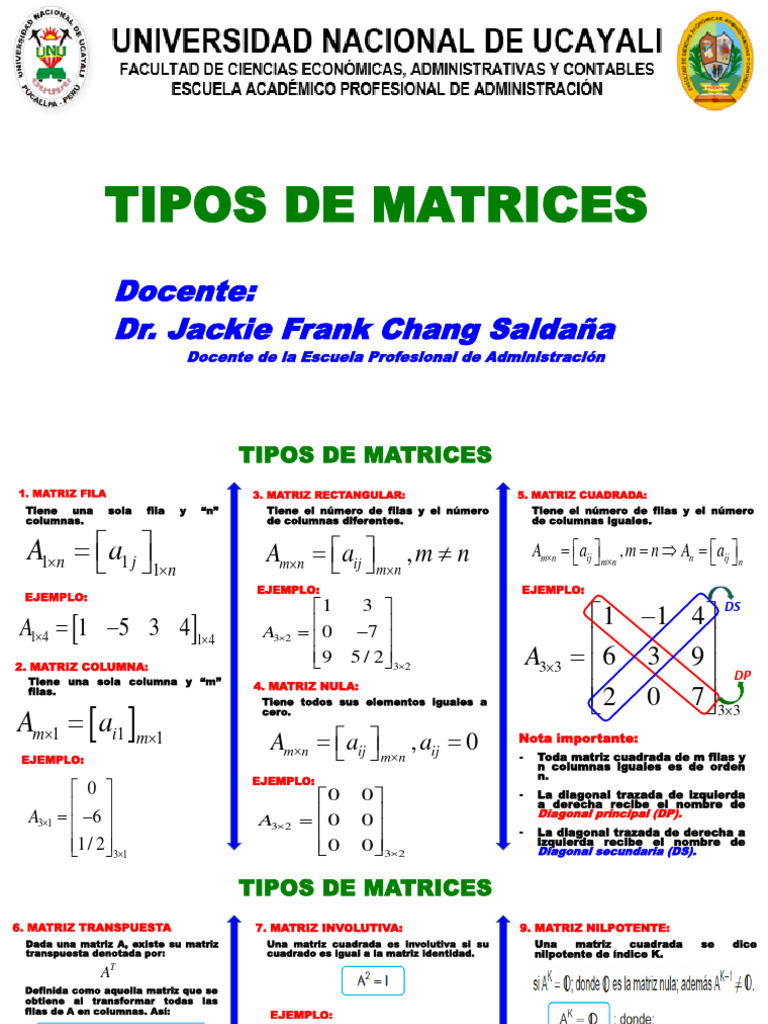 Tipos de Matrices | PDF