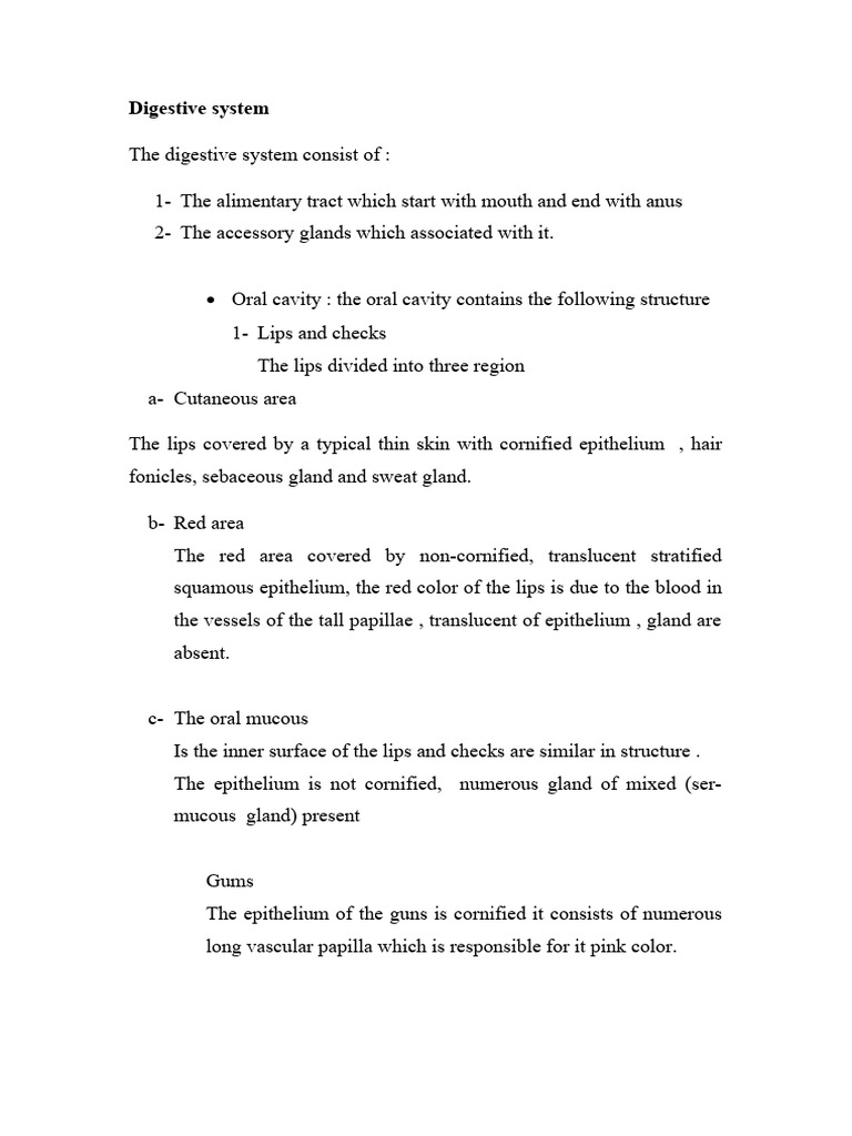 Digestive System | PDF