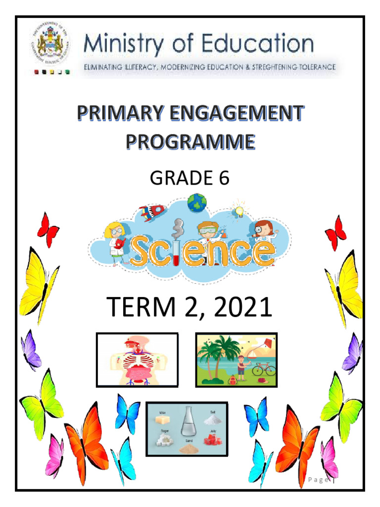 Grade 6 Science Term 2 | PDF