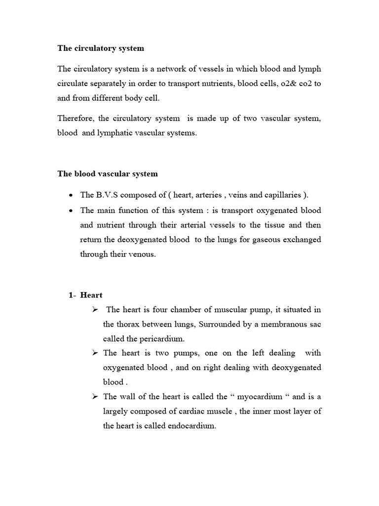 The circulatory system | PDF