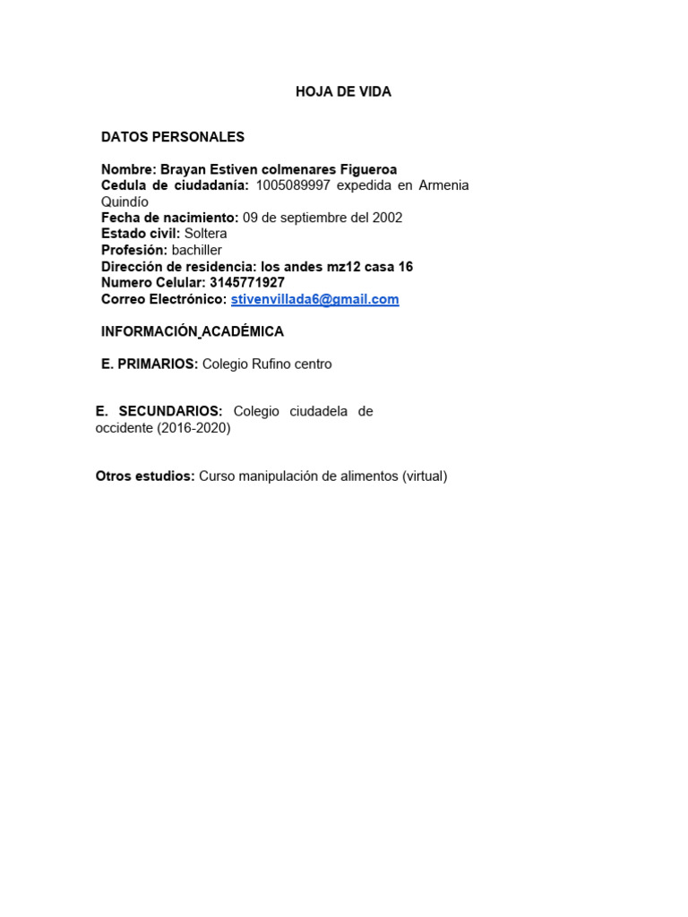 Hoja de Vida de Brayan Colmenares | PDF