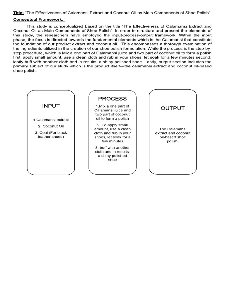Conceptual Framework | PDF