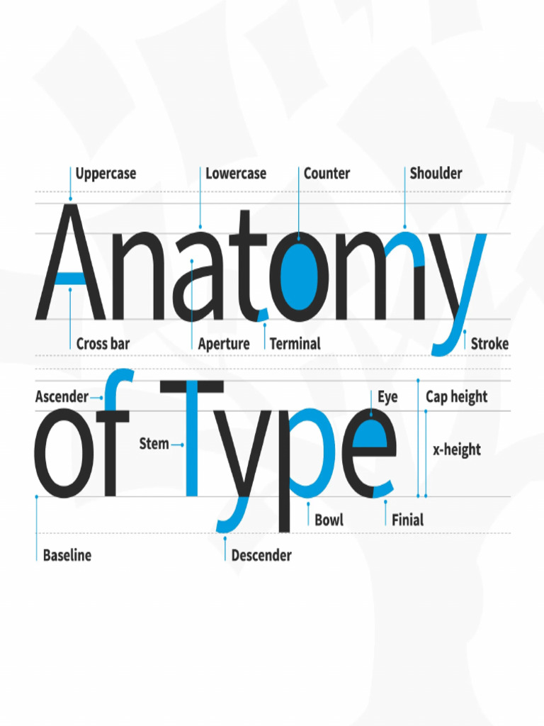 Anatomy of Typography | PDF