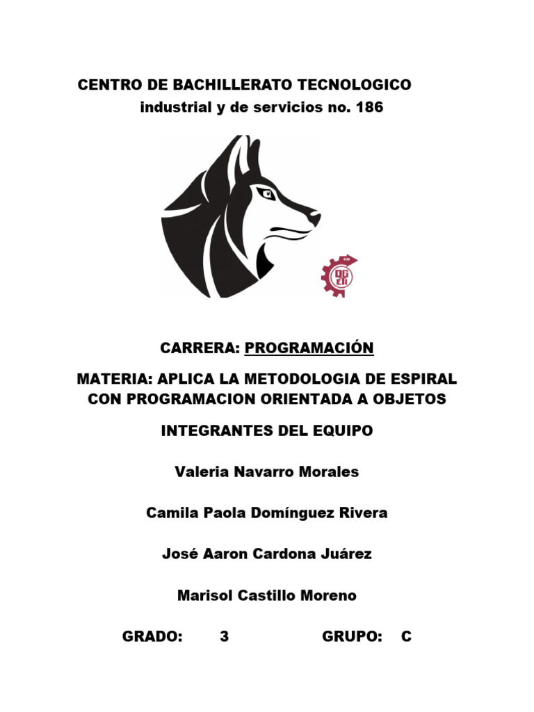 Proyecto P.O.O | PDF