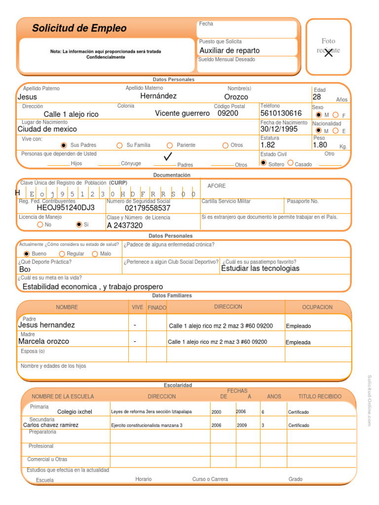 Solicitud de Empleo Bonita Editable PC en Blanco | PDF