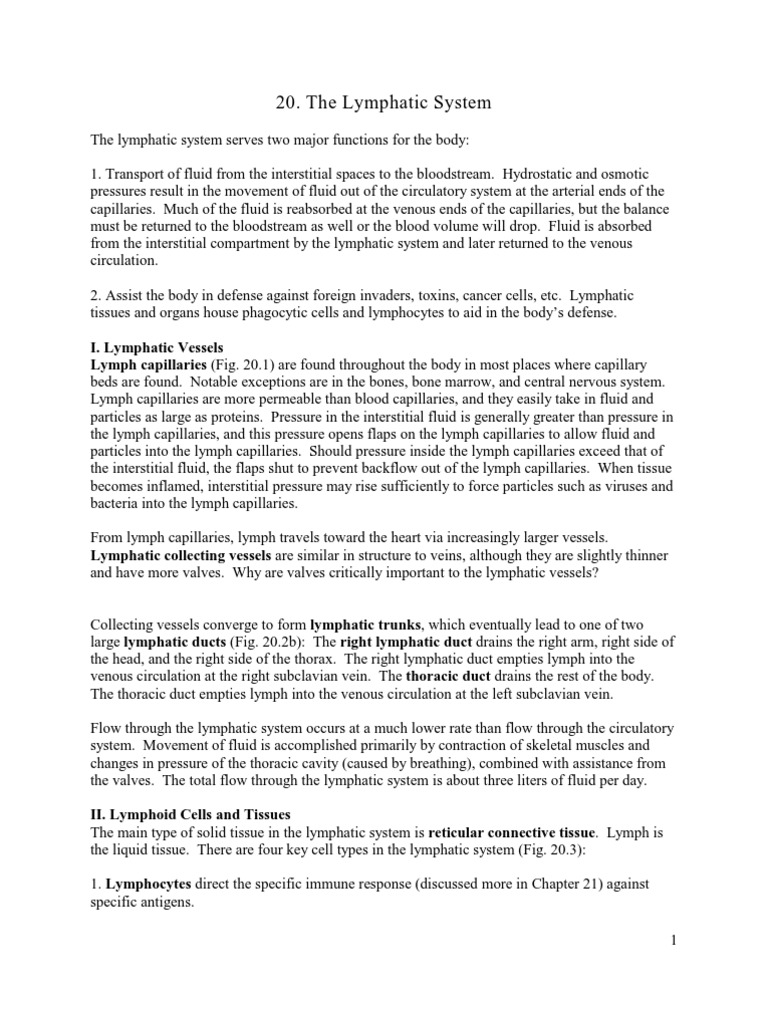 Notes 20 | PDF | Lymphatic System | Lymph Node