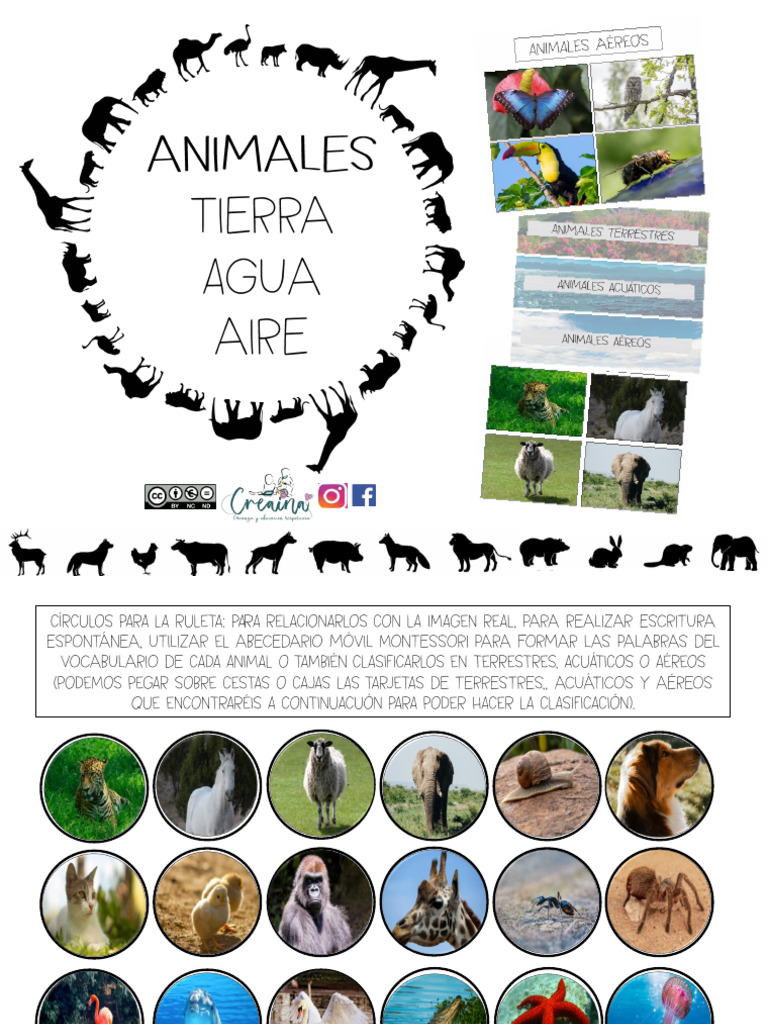 Animales Tierra Agua y Aire | PDF