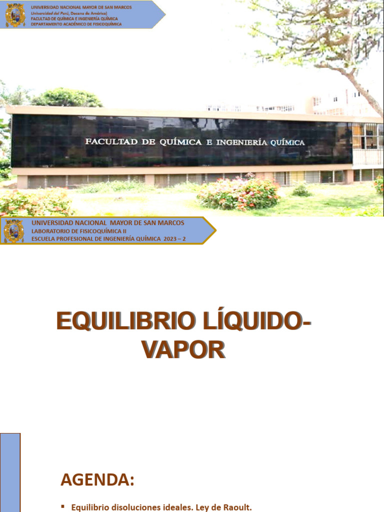 Equilibrio Liquido Vapor | PDF