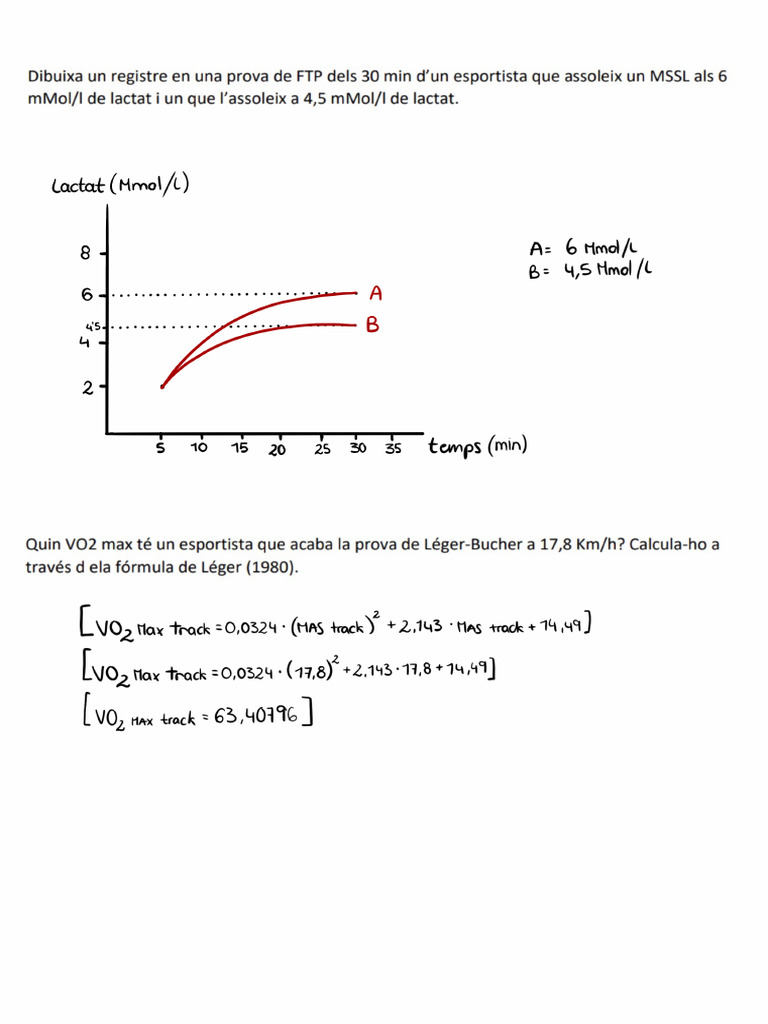 Ejercicios Adri 5 y 6 | PDF