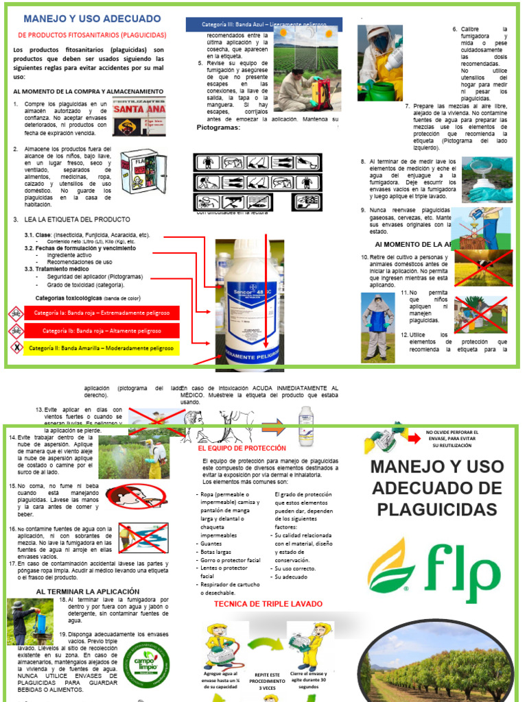MANEJO Y USO ADECUADO (Tripticos) | PDF