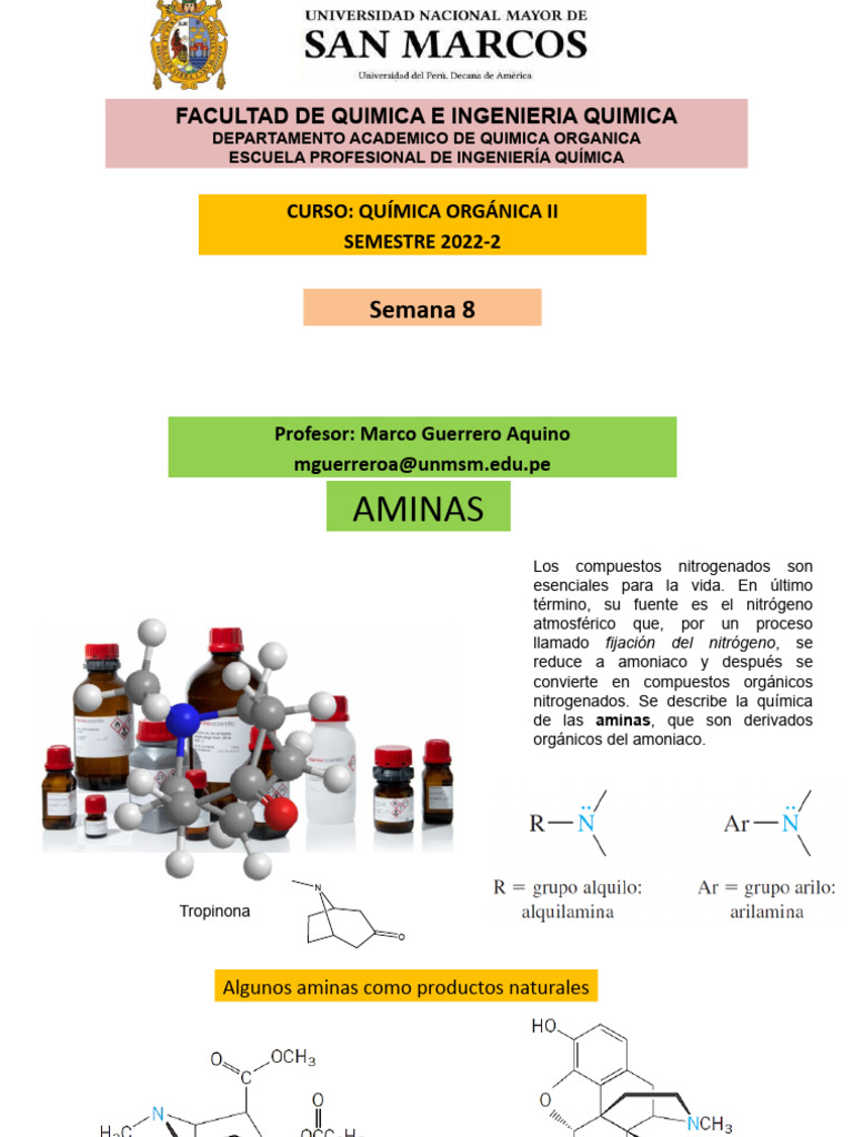 Semana 8 Quimica Organica 2 - 072. AMINAS | PDF | Ciencia y matemáticas