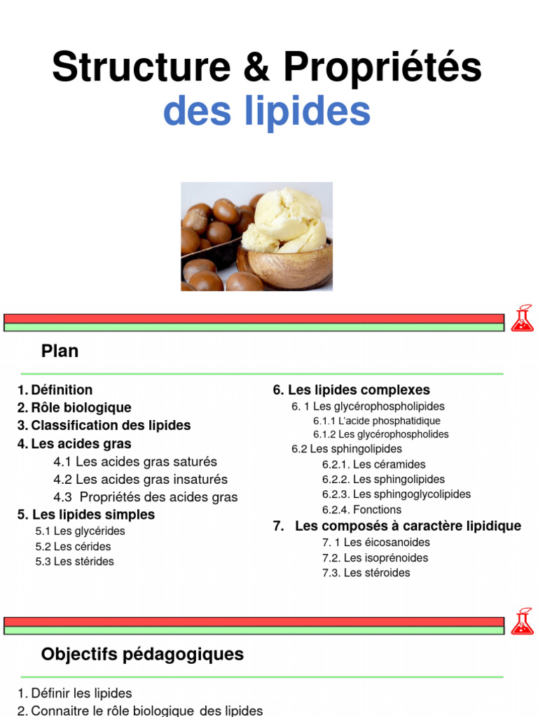 Structure et Classification des Lipides | PDF