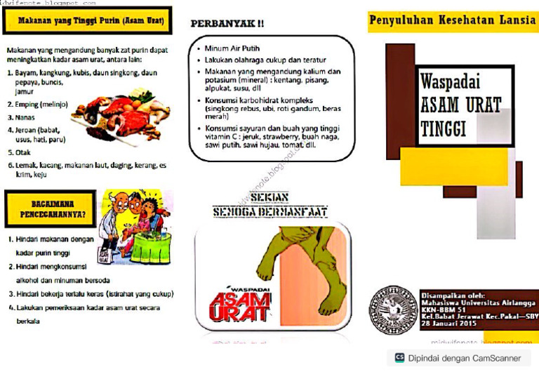 Asam Urat Leafleat | PDF