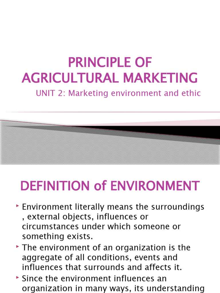 Unit 2 Power Point | PDF