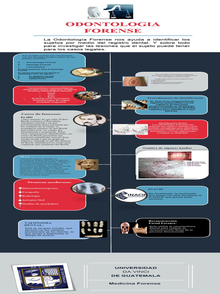 odontologia forese | PDF