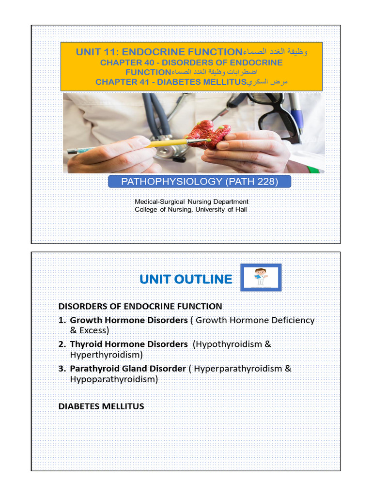 Unit 11 Endocrine Function (1) 2 | PDF