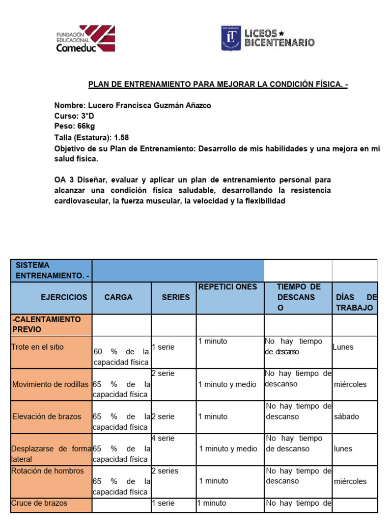 Planilla Plan de Entrenamiento | PDF