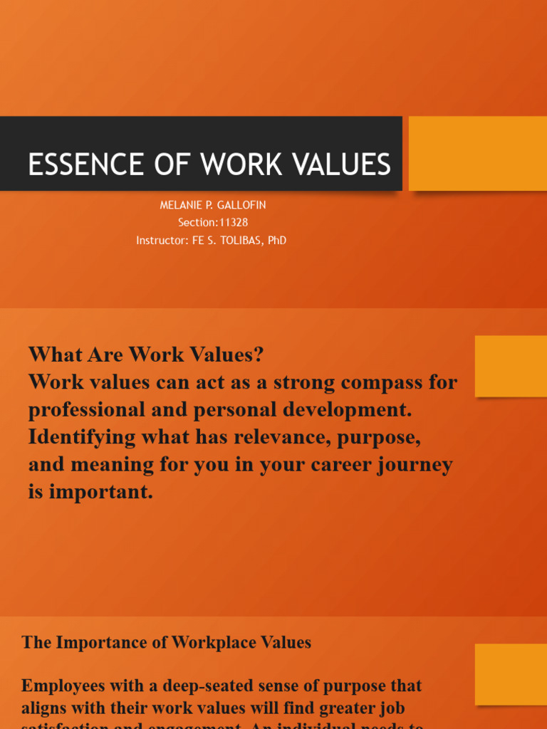Essence of Work Values | PDF
