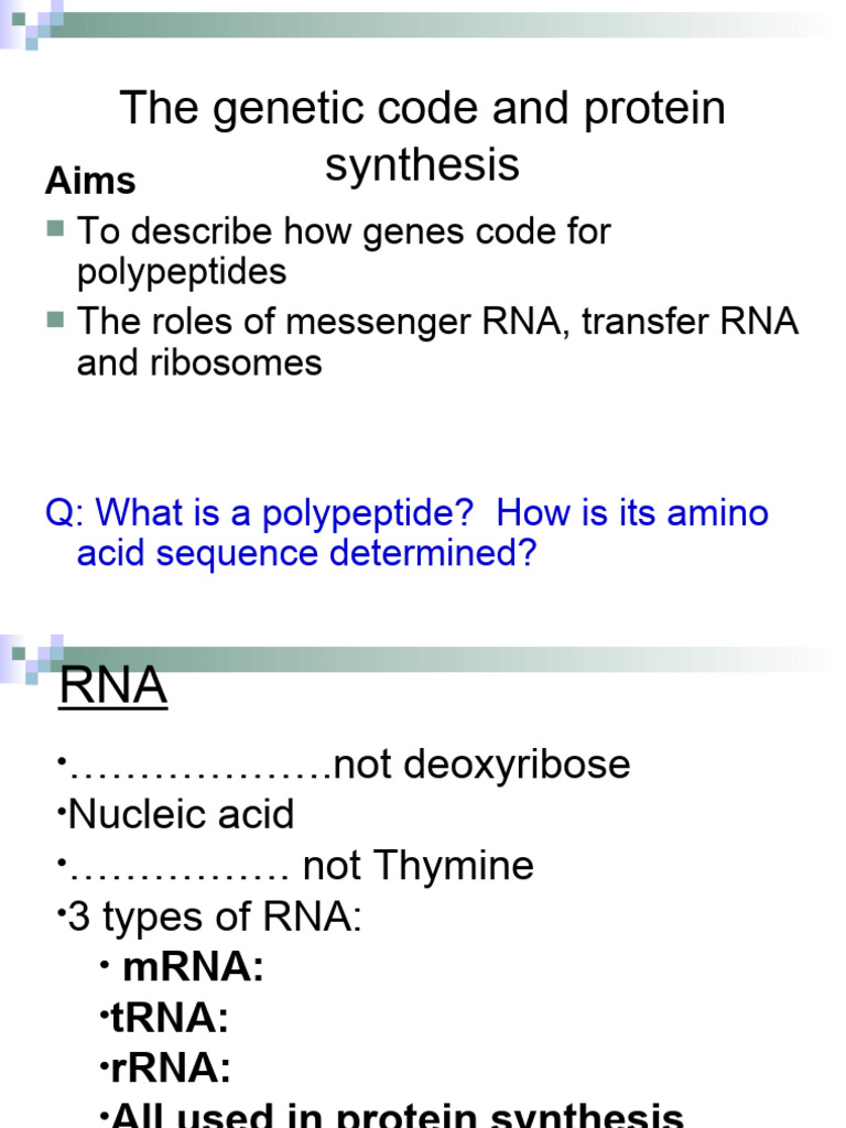 Genetics & Protein Synthesis Basics | PDF | Science & Mathematics