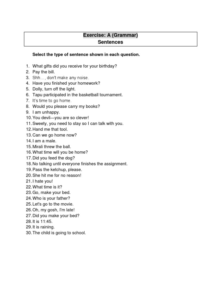 Types of Sentences Exercise | PDF | Language Arts & Discipline