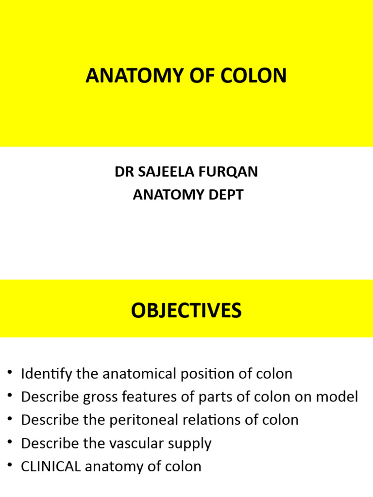 Anatomy of Colon | PDF