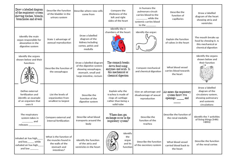 Connect 4 REvision Year 8 | PDF