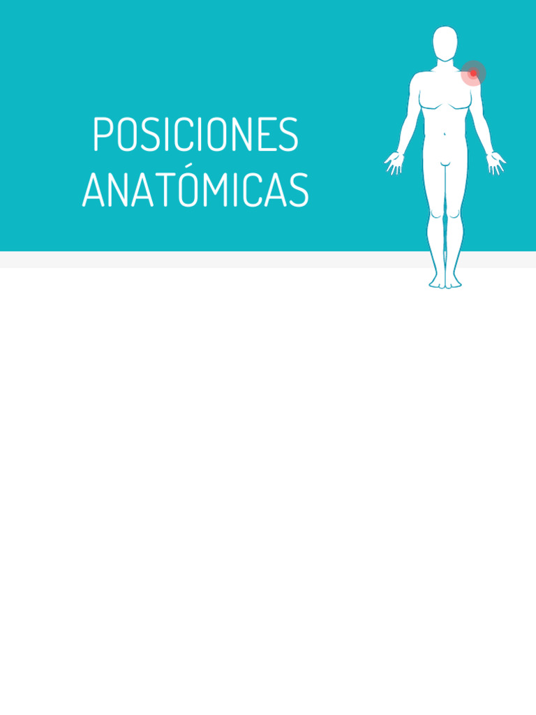 Posiciones Anatomicas | PDF