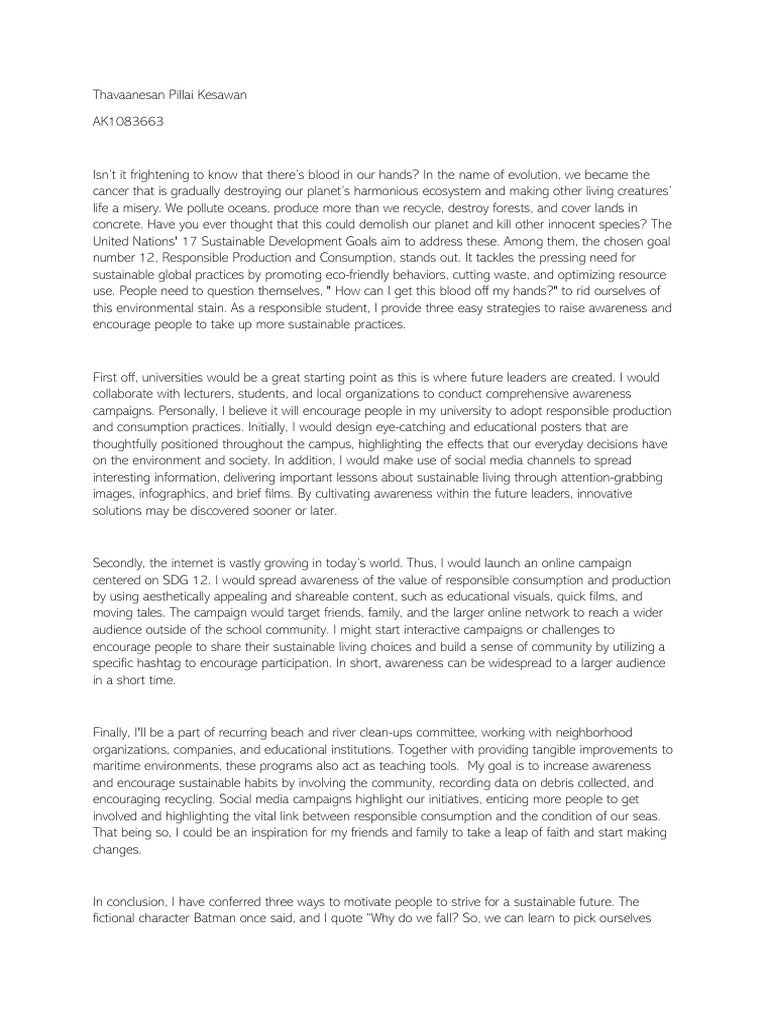SDG Essay | PDF