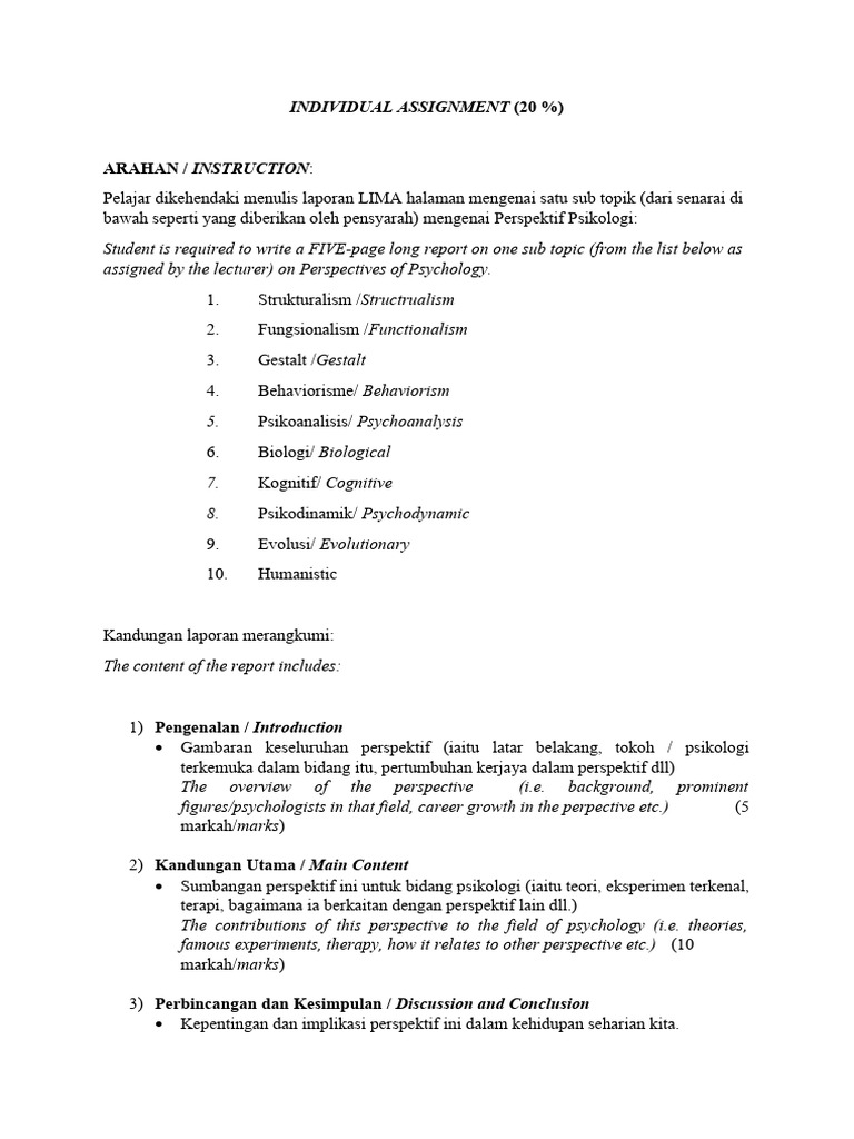 A211 SSYA1013 Individual Assignment | PDF