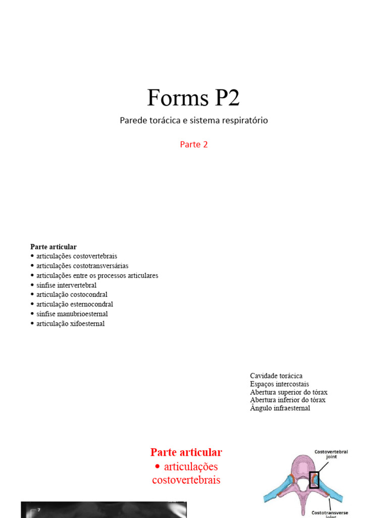 Forms P2 - Parte 2 | PDF