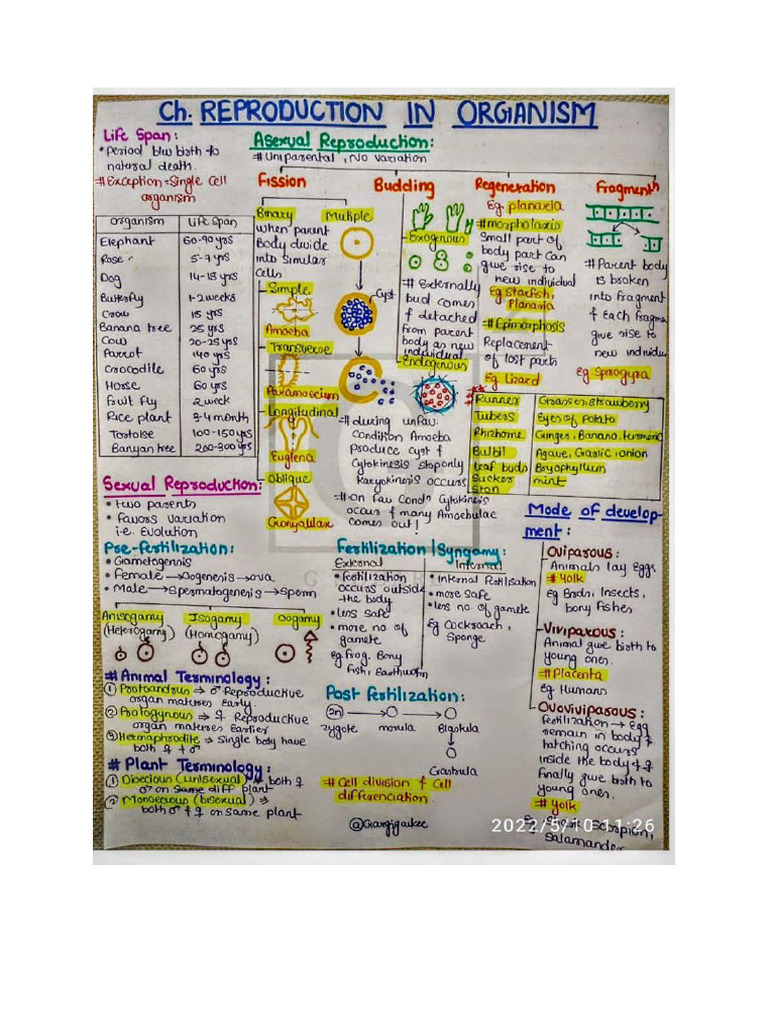 Reproduction in Organisms Class 12th Chapter 1 | PDF