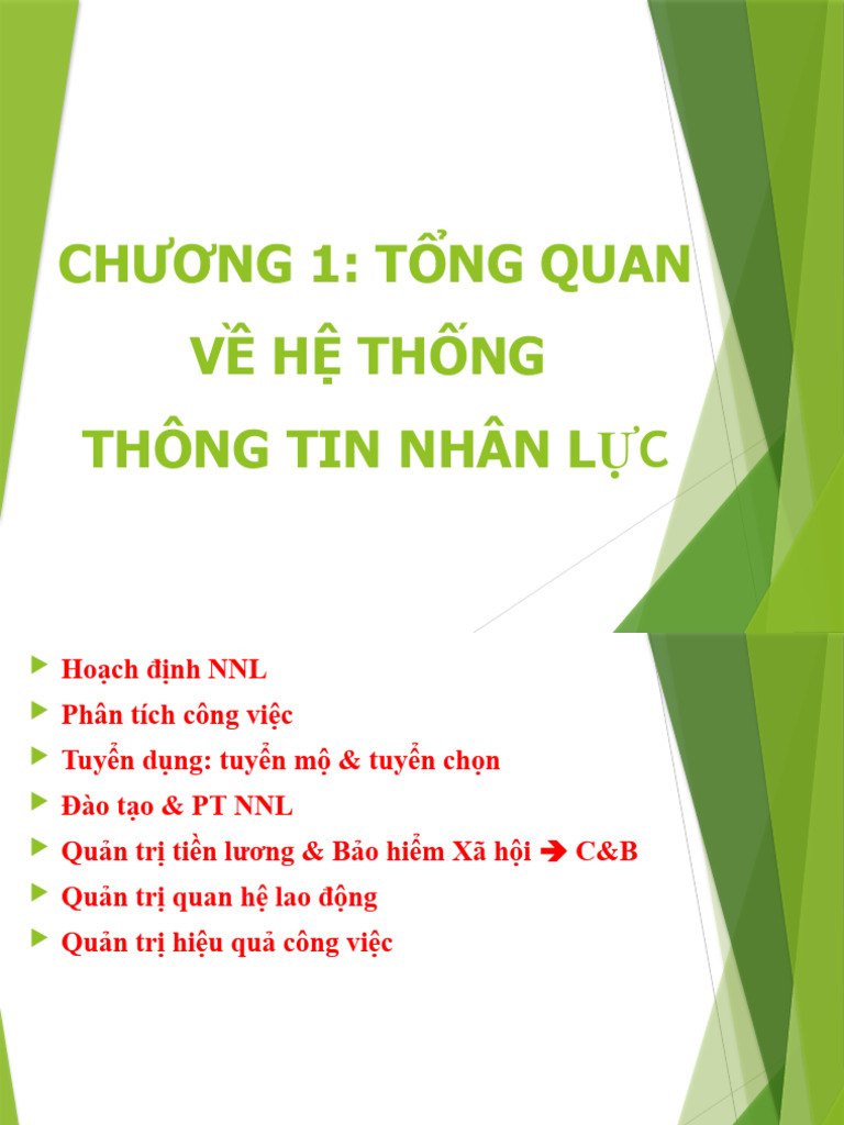 Chuong 1 Tong Quan HRIS | PDF
