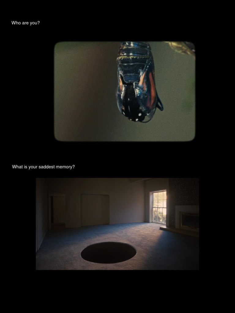 Visual Interview | PDF