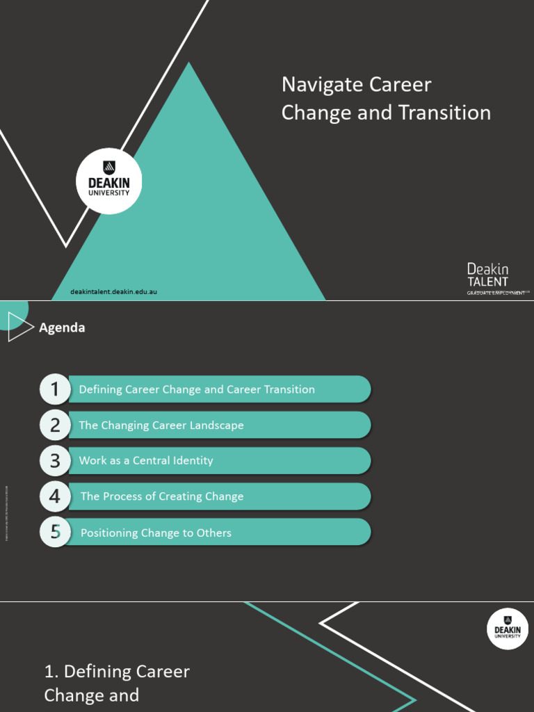 Navigate Career Change and Transition | PDF