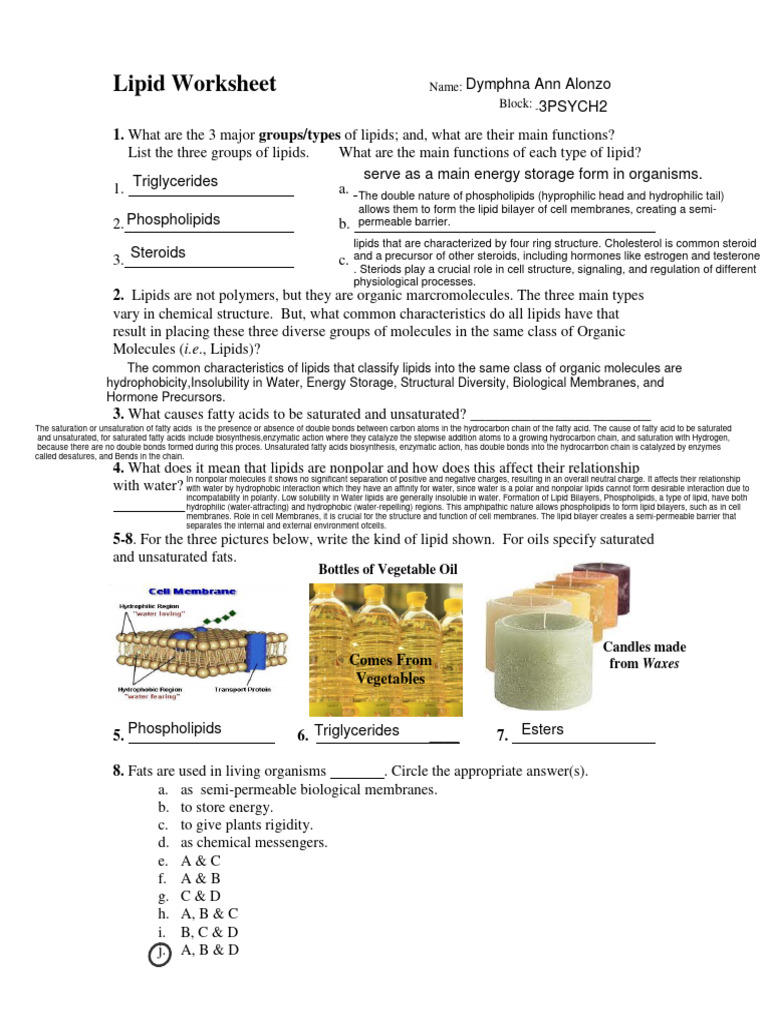 Lipid Worksheet Biochem | PDF | Lipid | Fatty Acid