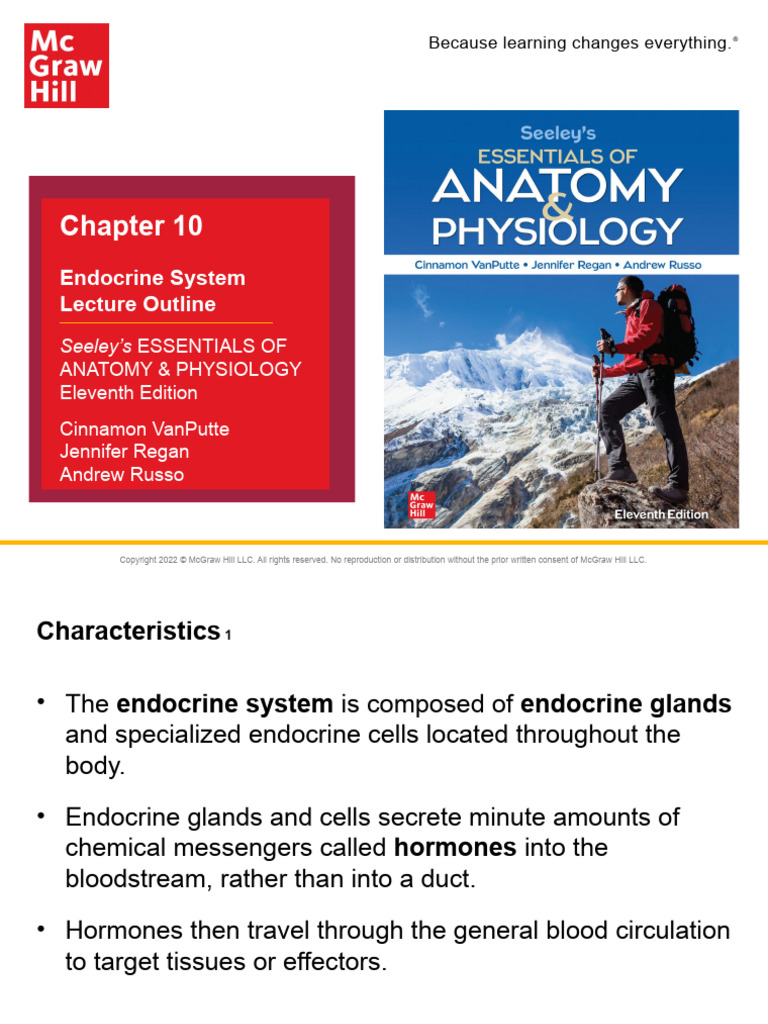 Endocrine | PDF | Wellness