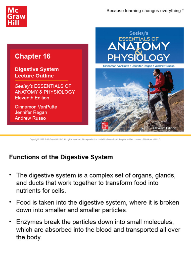 Digestive | PDF