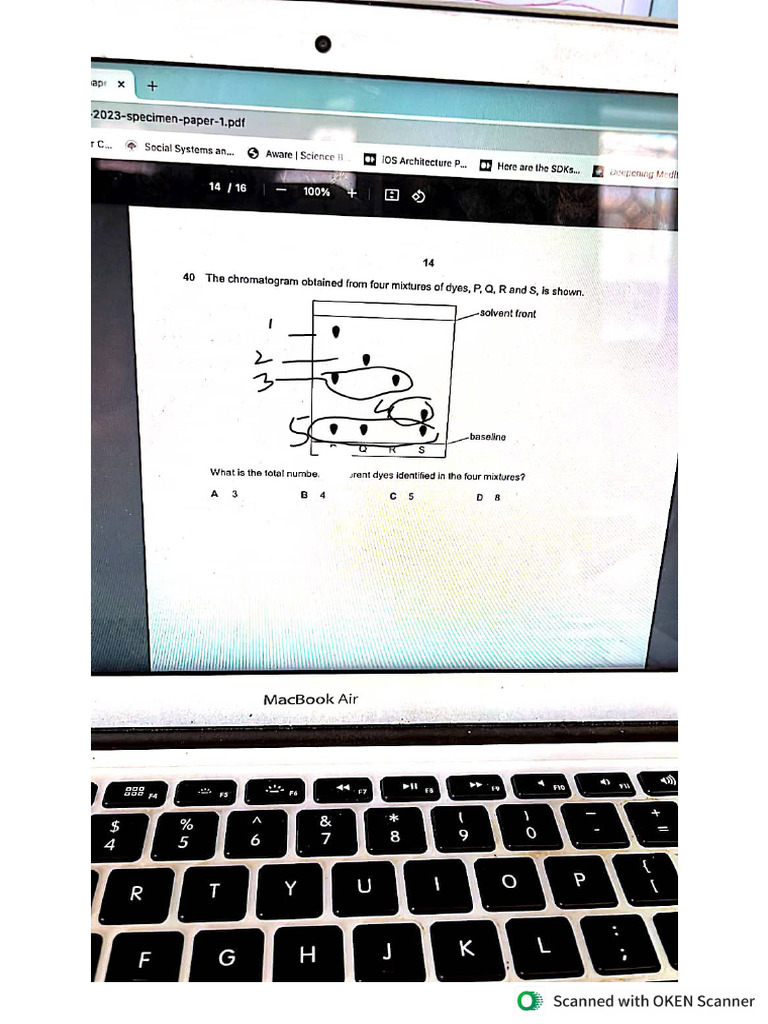 Chromatography Grade 8 Igcse Question | PDF