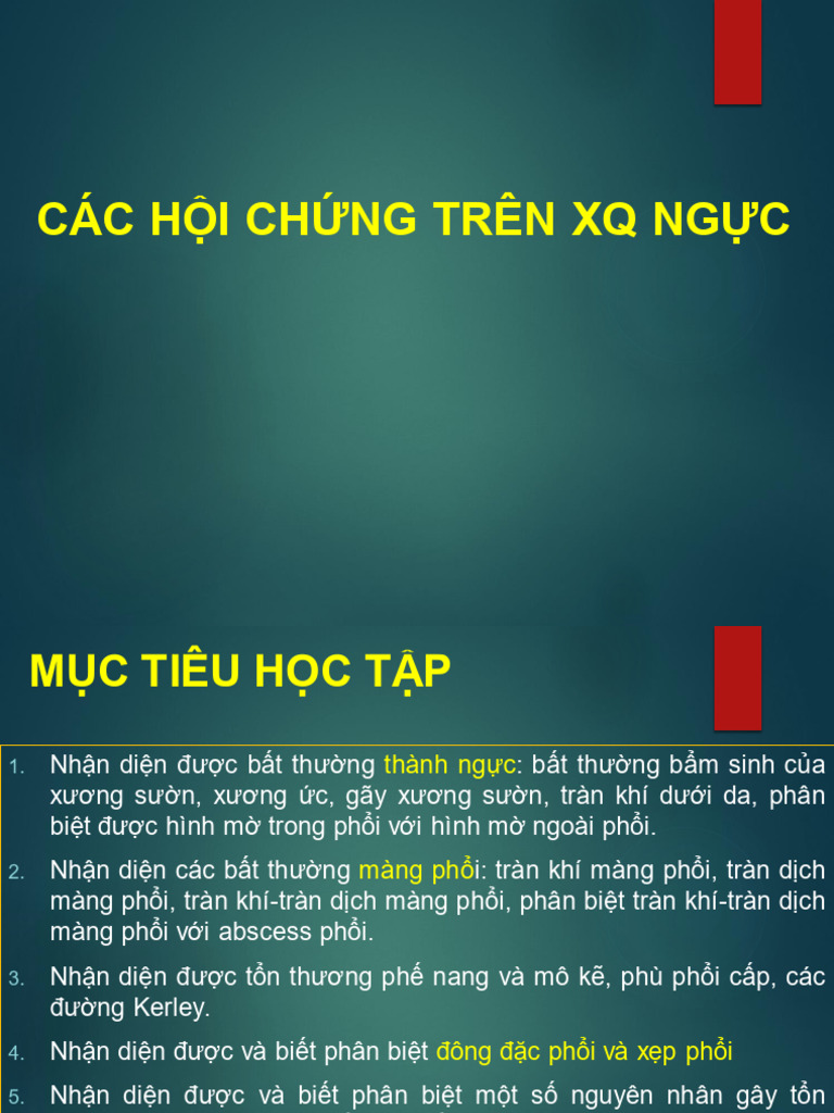 Các H I CH NG Trên XQ NG C | PDF