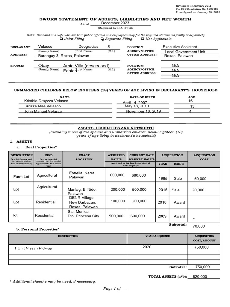 Saln Form | PDF | Net Worth | Economies