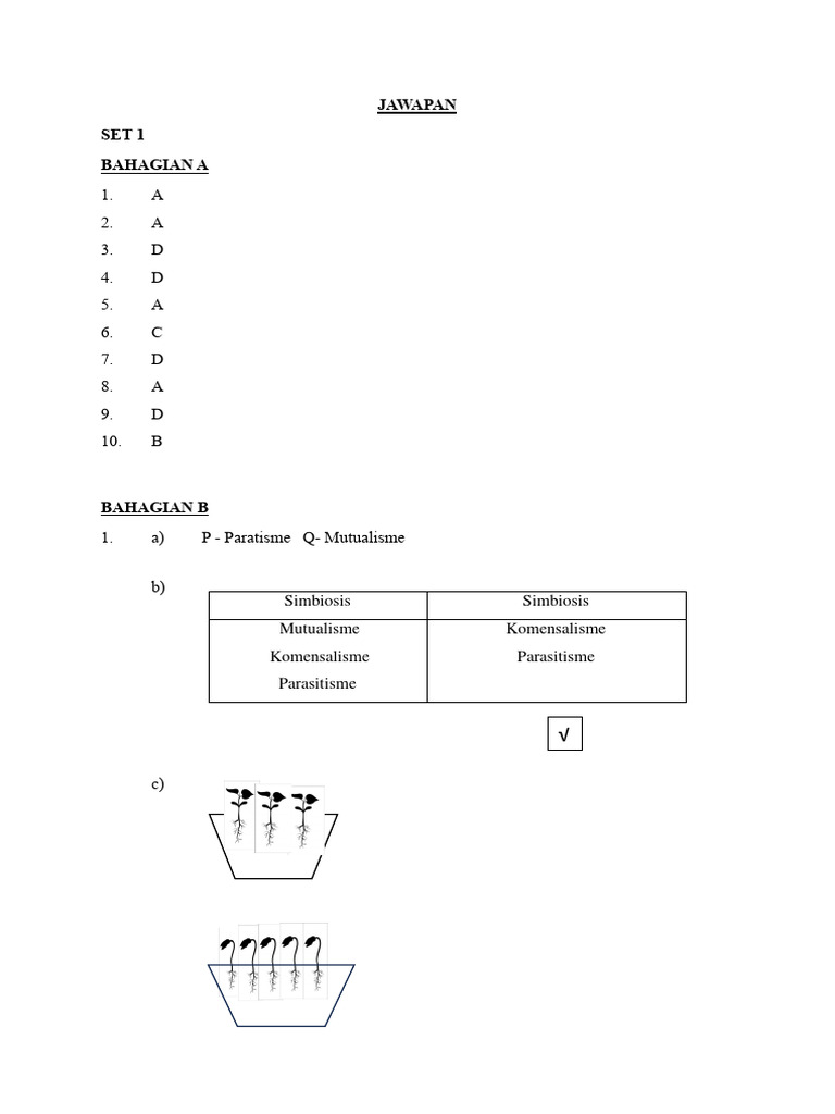 Answer Sheet Science std6 Uasa | PDF