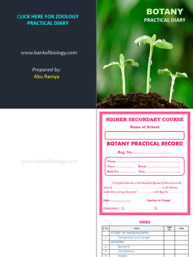 Botany Practical Record Guide | PDF | Mitosis | Petal