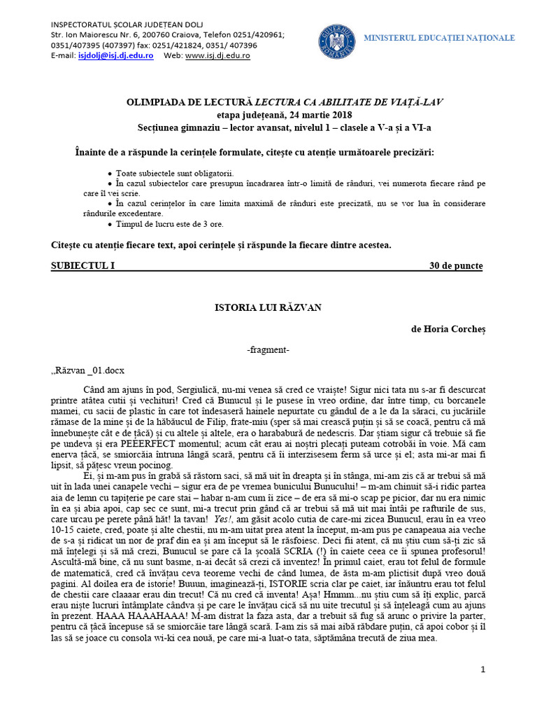 Subiect OLAV Nivel I 2 | PDF