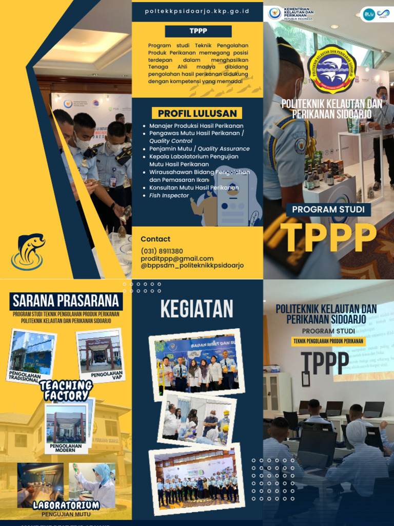 Brosur TPPP | PDF