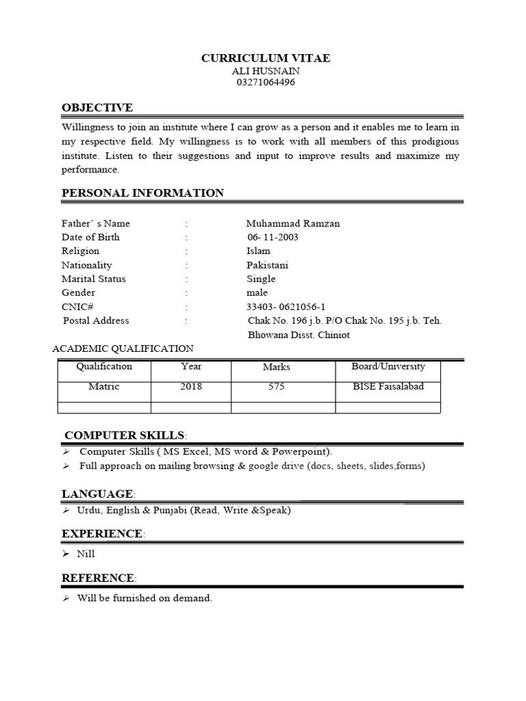 Ali Husnain Curriculum Vitae | PDF