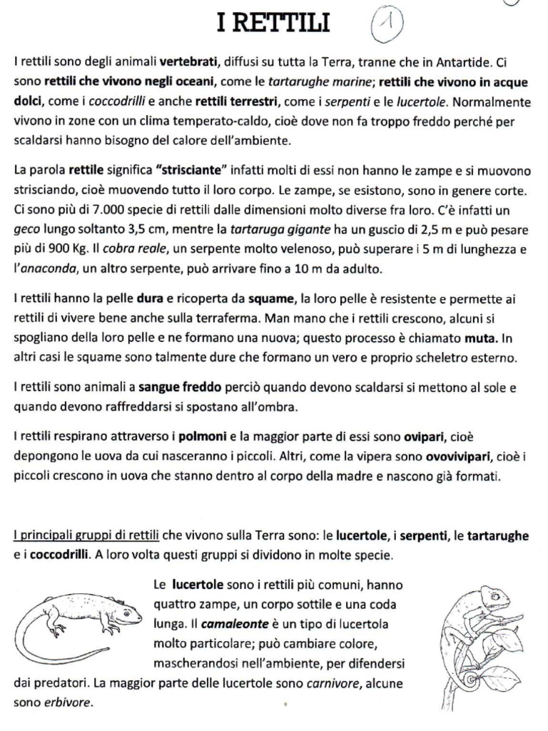 Sci 4 I Rettili 1 Compressed | PDF