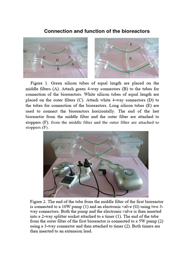 Connection of Bio Reactors | PDF